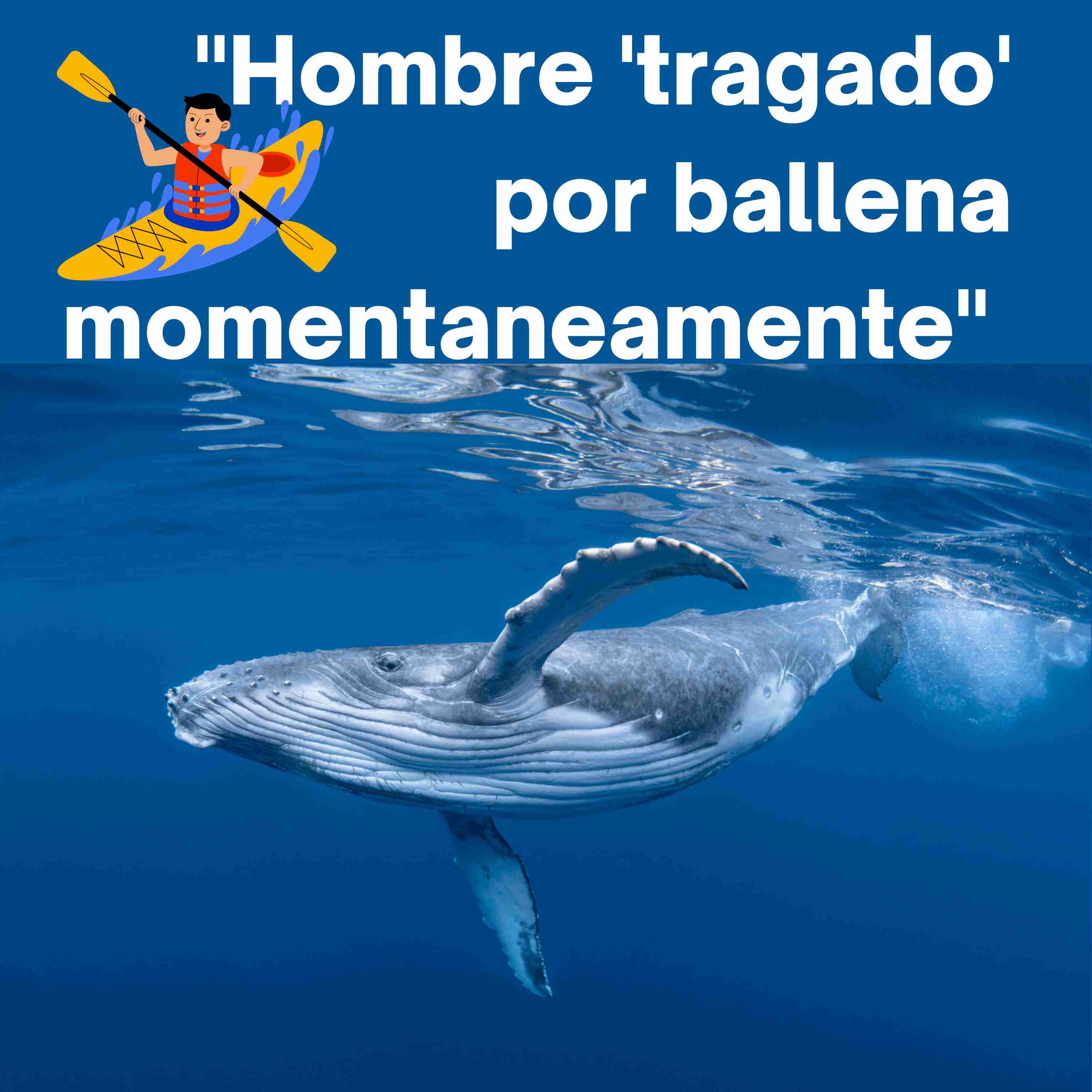 italki - Imaginen ser la ballena por un instante. Nado serenamente en mi hogar azul, rodeada del ...