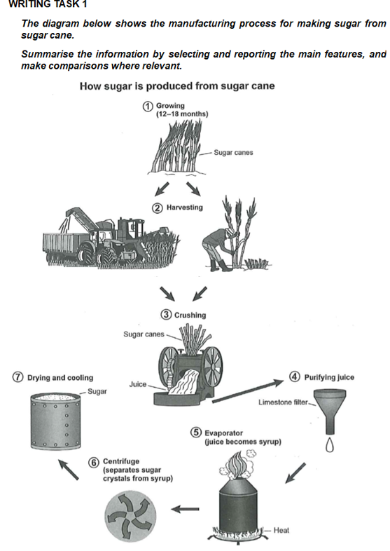 italki - The diagram describes the seven stages of sugar production ...