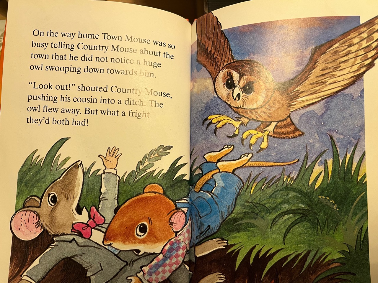 italki - (Keep reading this story) On the way home, Town Mouse was so busy telling Country mouse ...