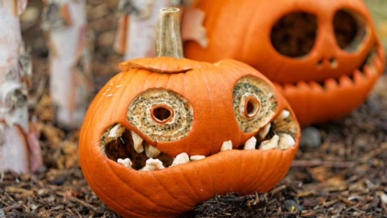 italki - Calabaza/pumpkin ¿saben de dónde viene la palabra calabaza? Es una palabra muy antigua ...