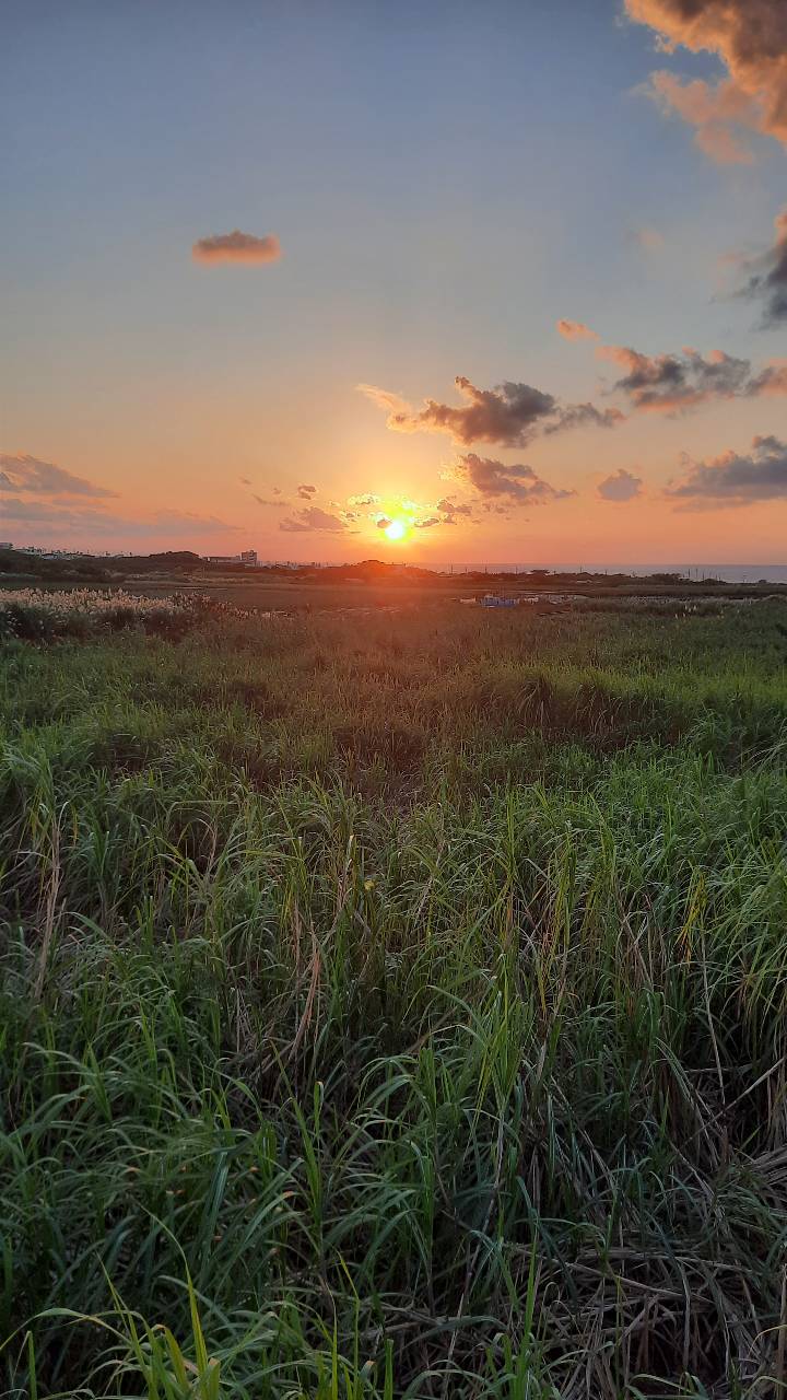 italki - 2026年1月6日 今日、久しぶりにしたことないものについて考えていた。 何かを書く。自分の思いを記す。しかし、本当に自分の ...