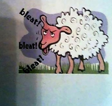 italki - Why 'bleat' is written with a sheep in the picture? Does it ...