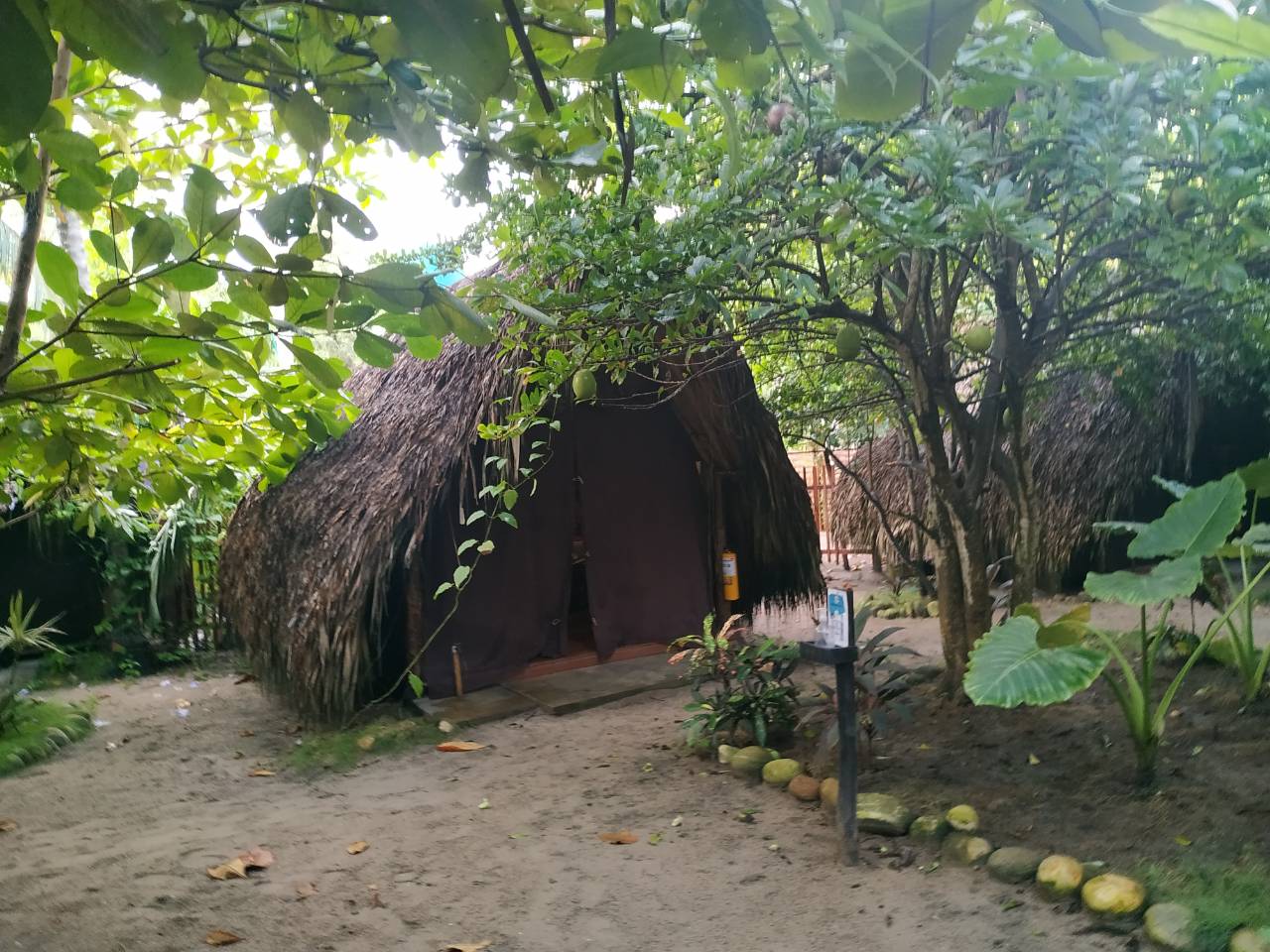 italki - [Audio][Image]