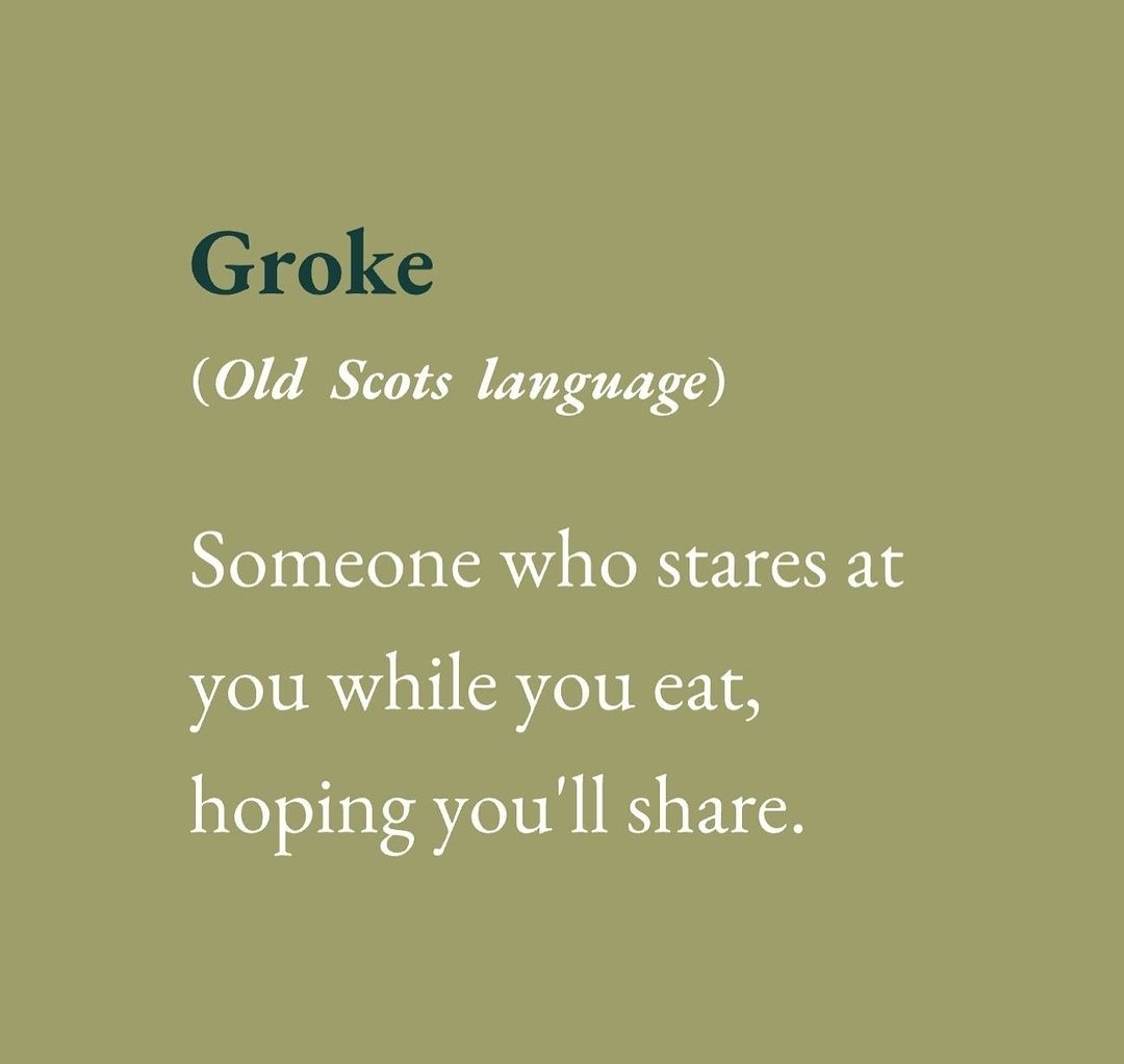 italki - Who knows a groke?[Image]