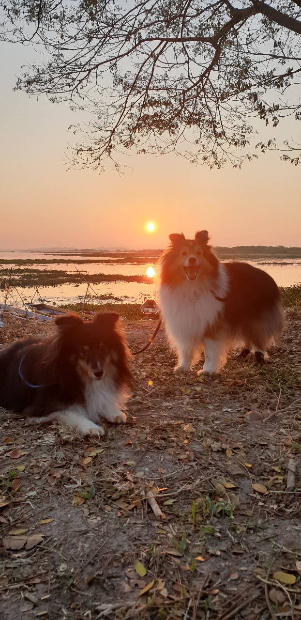 italki - [Audio][Image]