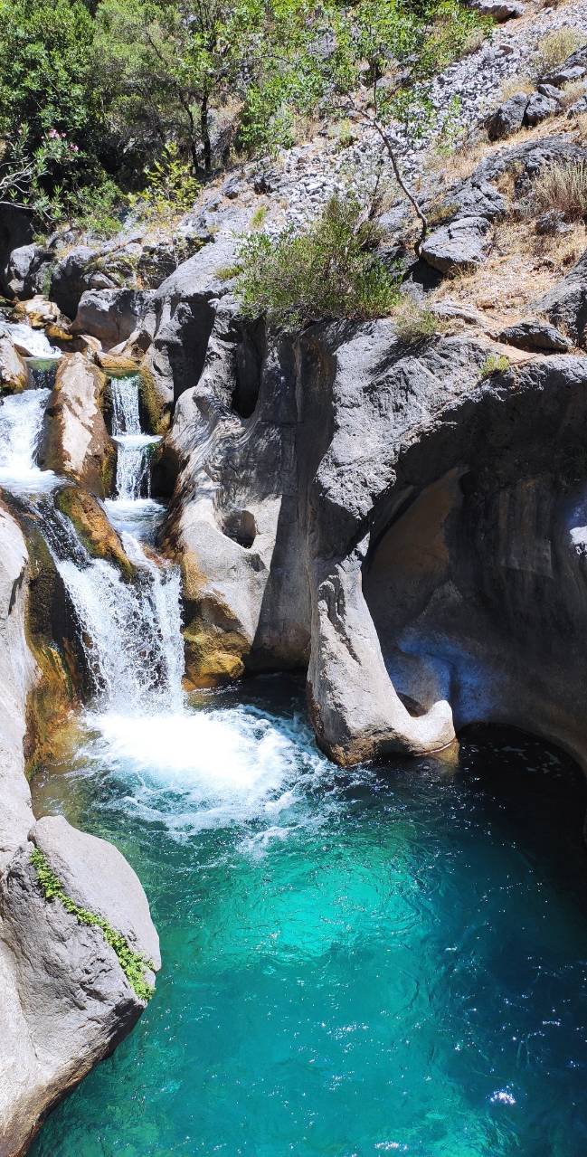 italki - [Audio][Image]