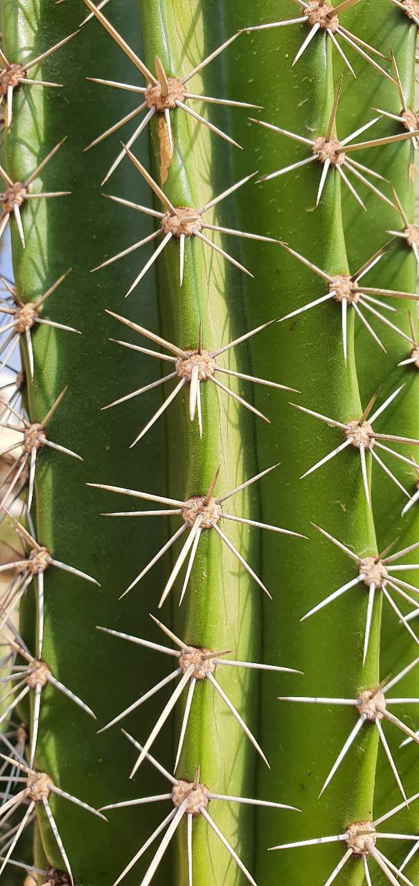 italki - Hi everyone! I'm Tania an artist from Ukraine. I want to find new friends and improve ...