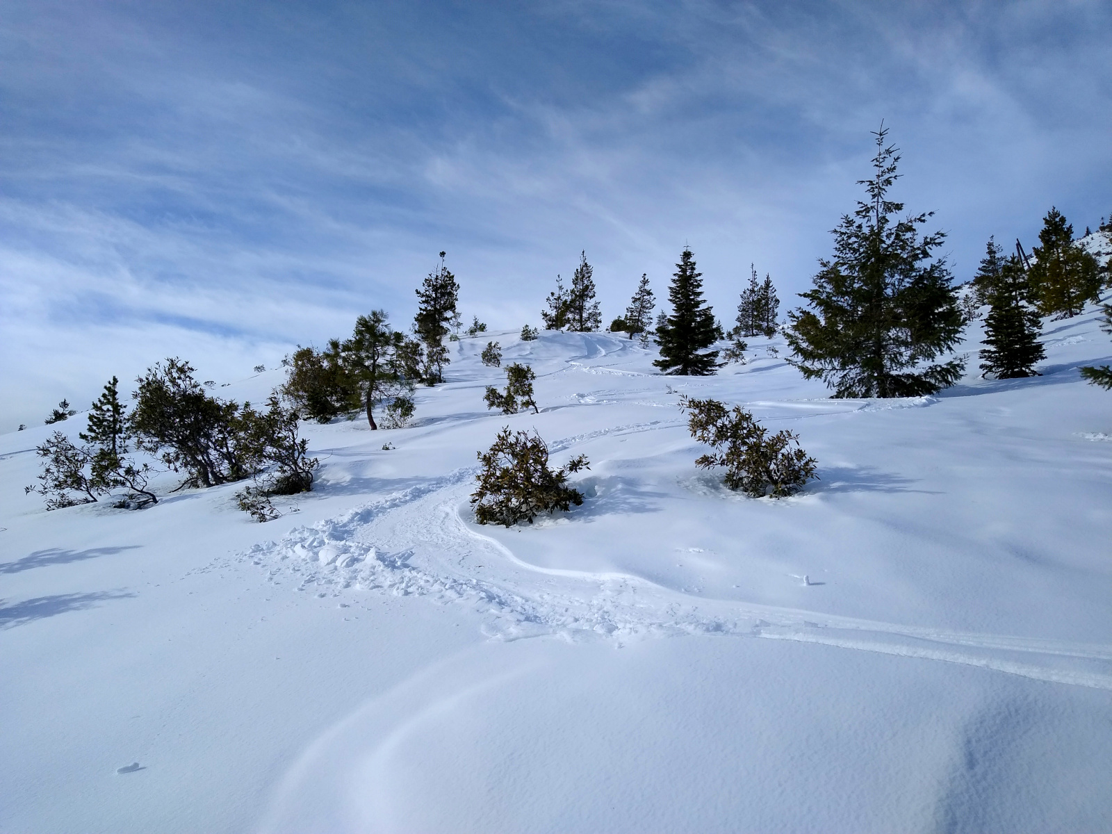 italki - Es una foto de las huellas de mis esquís por la nieve en una ...