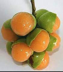 italki - Cuando estaba en el colegio recuerdo que enfrenta había un ...